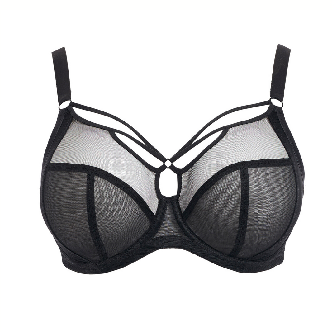 Elomi Lingerie in South Africa | Plus Size Bras and Underwear – Choose Me